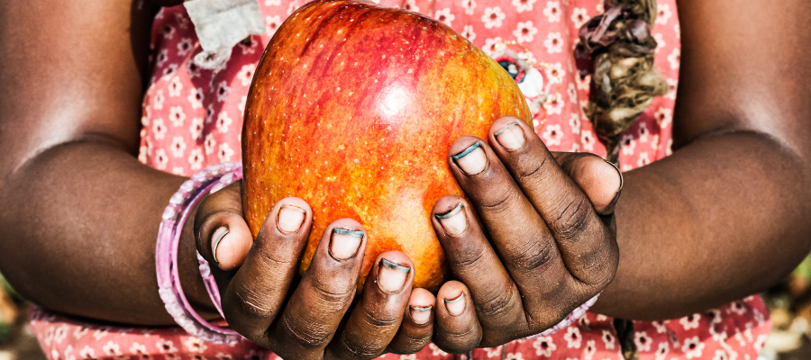 ODD 2 Faim Zéro - Institut de la Bienheureuse Vierge Marie – Loreto